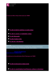Plateformes CMNF et PCMP – IEMN